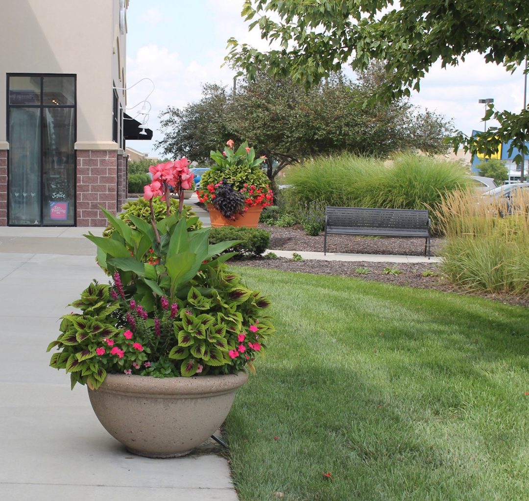 Tracy's Tips: How to Design Beautiful, Resilient Flower Pots in Kansas ...